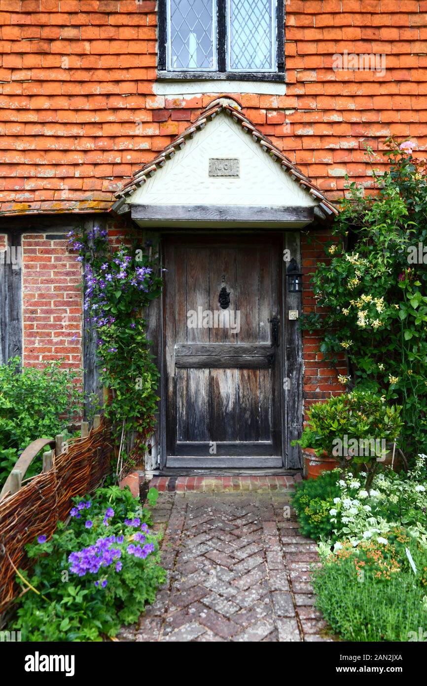 Front door uk plant hi-res stock photography and images - Alamy