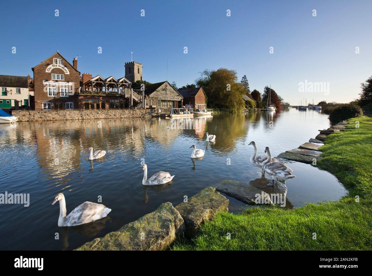 The River Frome at Wareham, Dorset, England Stock Photo - Alamy