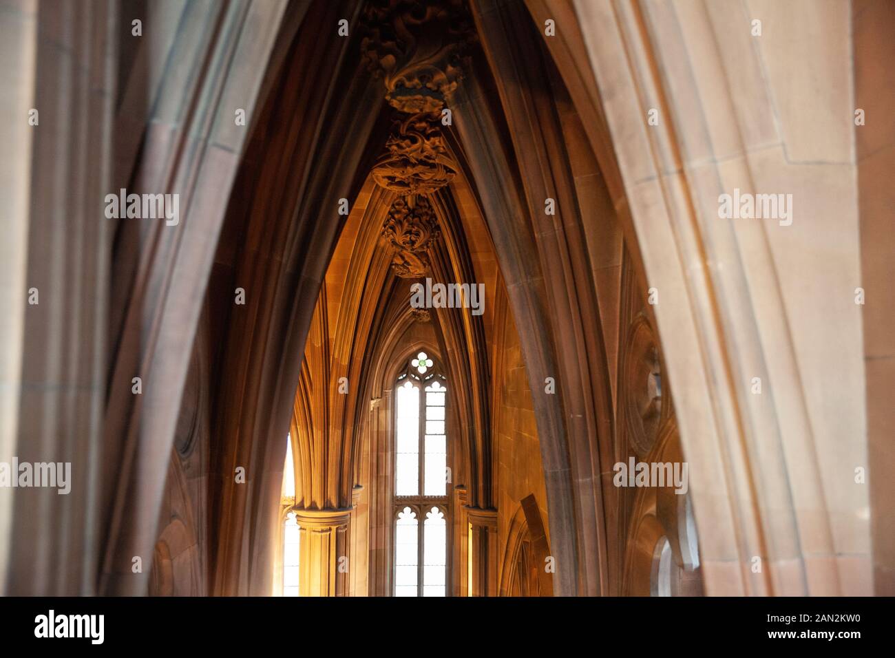 Manchester, UK: 20 October 2019: The John Rylands Library ceiling ...