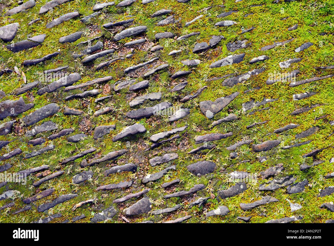 Texture of pebble stones in pathway with soil and plants between Stock ...