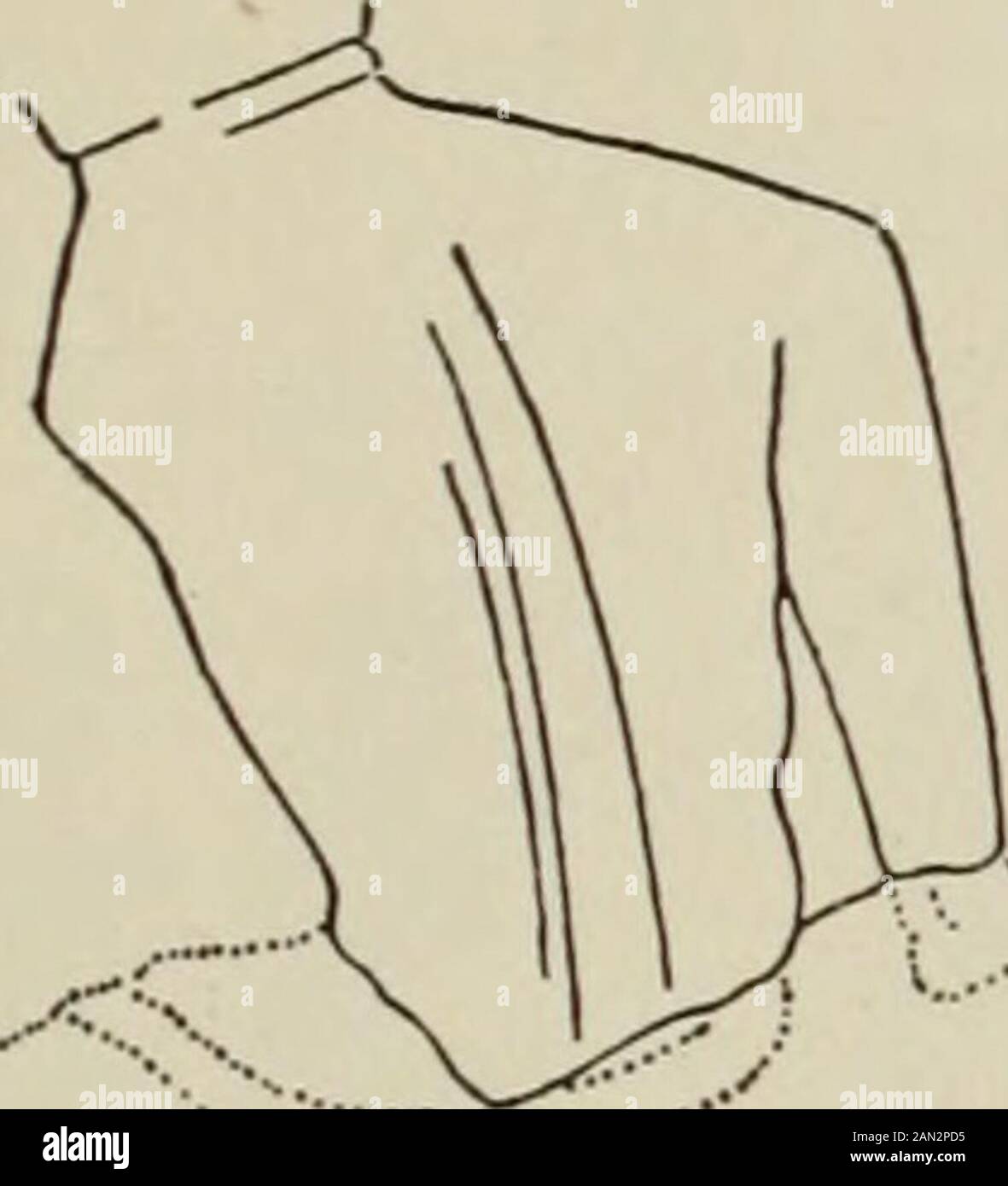 Winged figures of genius hi-res stock photography and images - Alamy