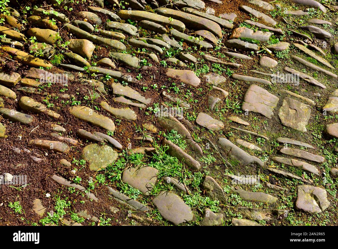 Texture of pebble stones in pathway with soil and plants between Stock ...