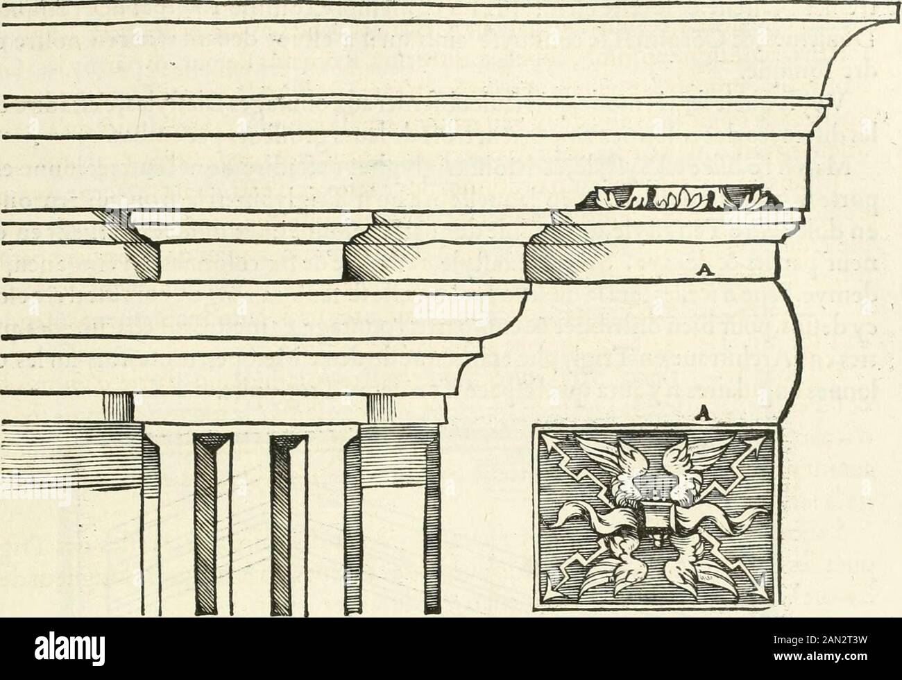Aucc hi-res stock photography and images - Alamy
