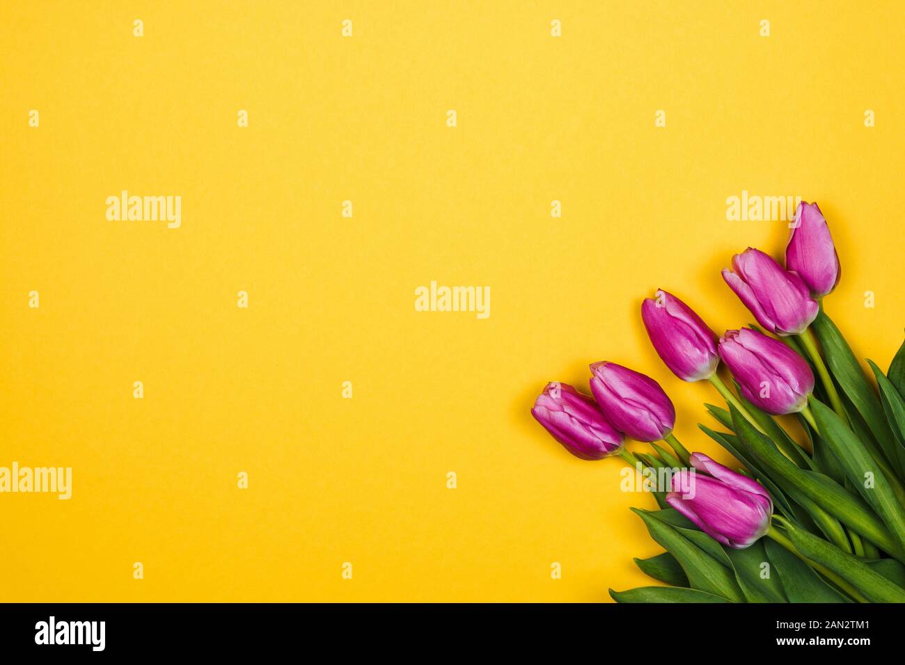 Corner tulips hi-res stock photography and images - Alamy