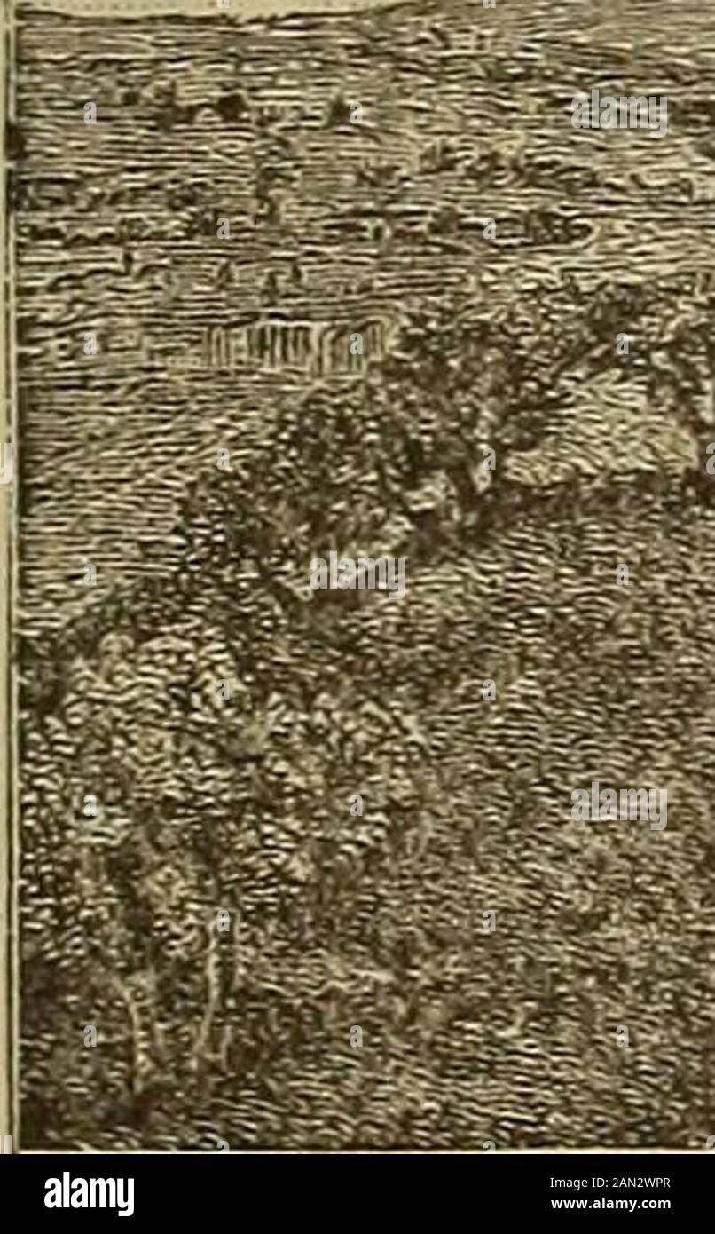 A dictionary of the Bible.. . nd the third out-side of the second. The ...