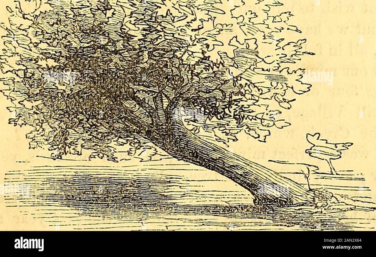 John rahway hi-res stock photography and images - Alamy