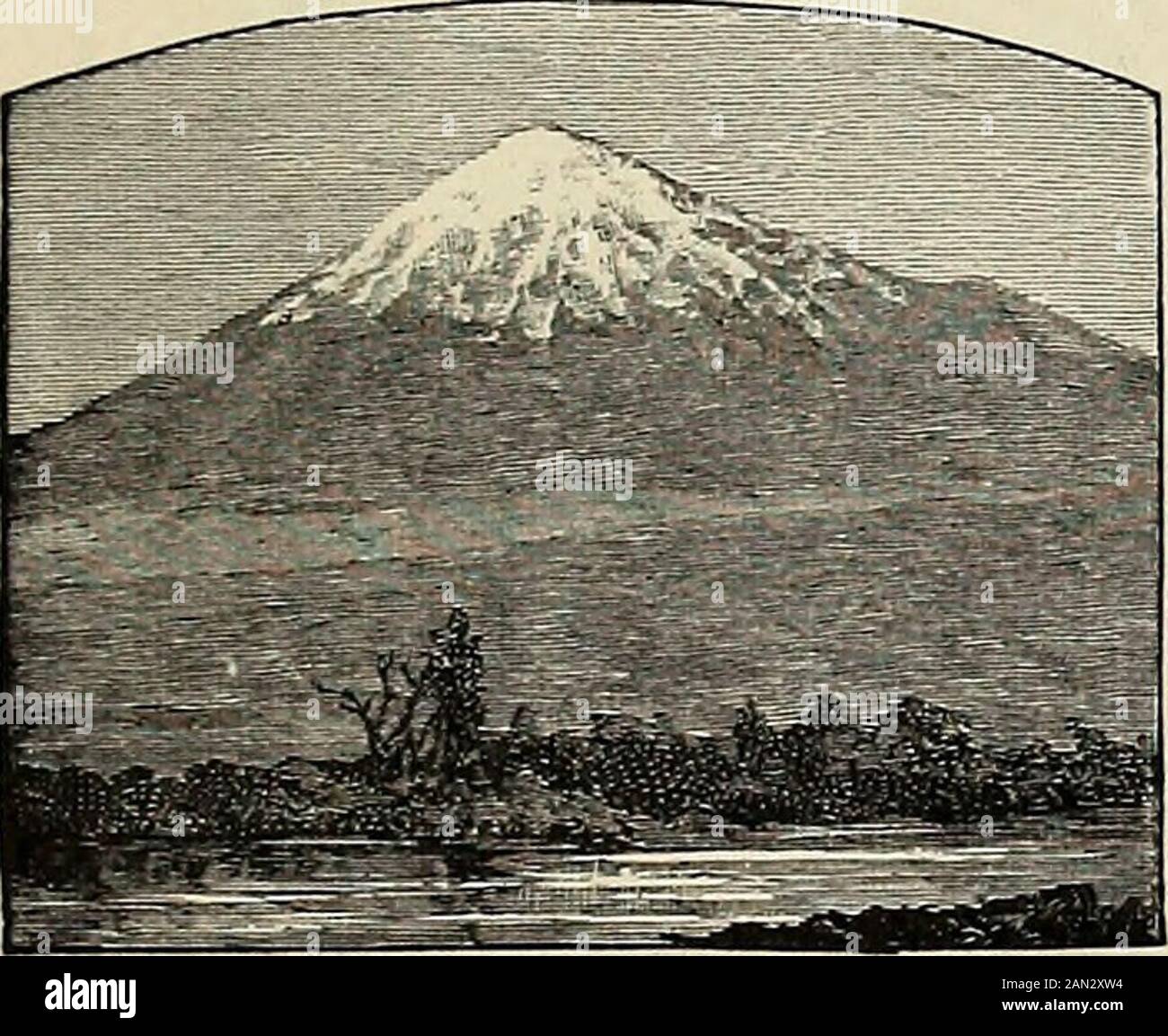 Java born hi-res stock photography and images - Alamy