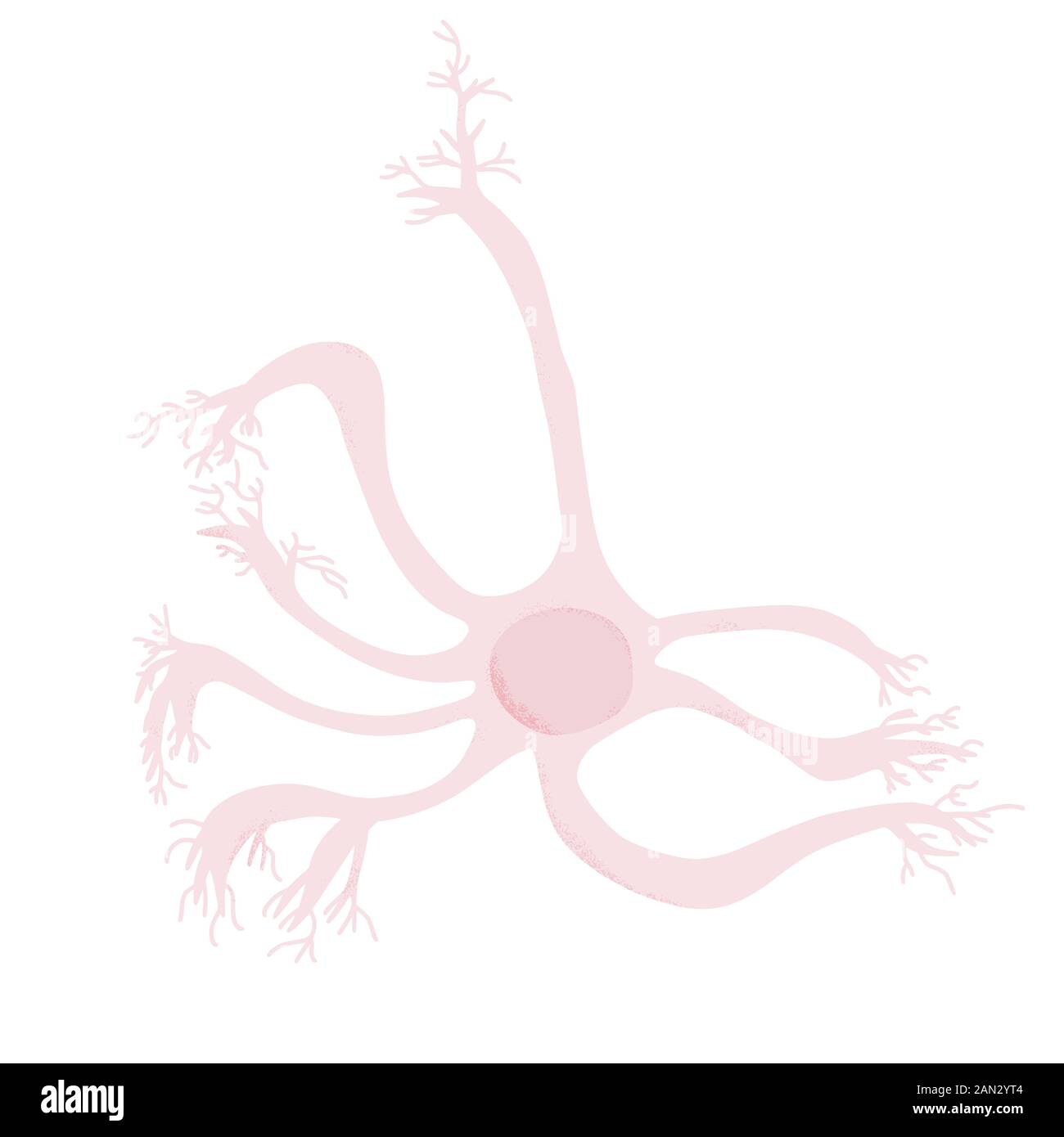 Neuron with long axons. Vector illustartion Stock Vector Image & Art ...