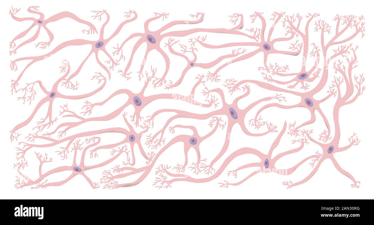Neuron cells set. Collection of brain neurocyte. Vector flat ...
