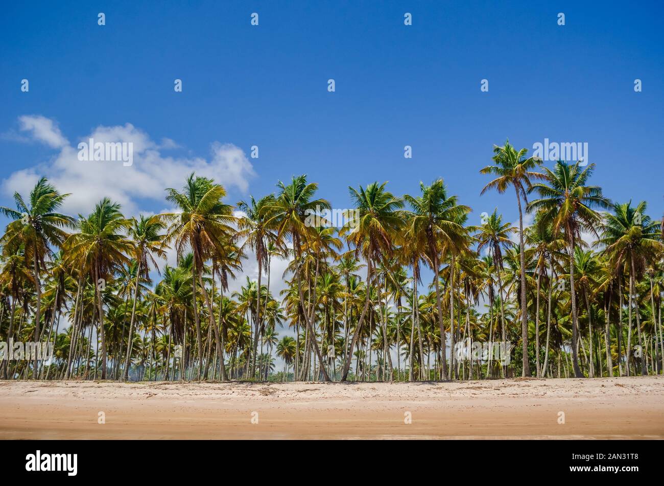 Landscapes on "Boipeba Island", beaches in Bahia, Brazil Stock Photo ...