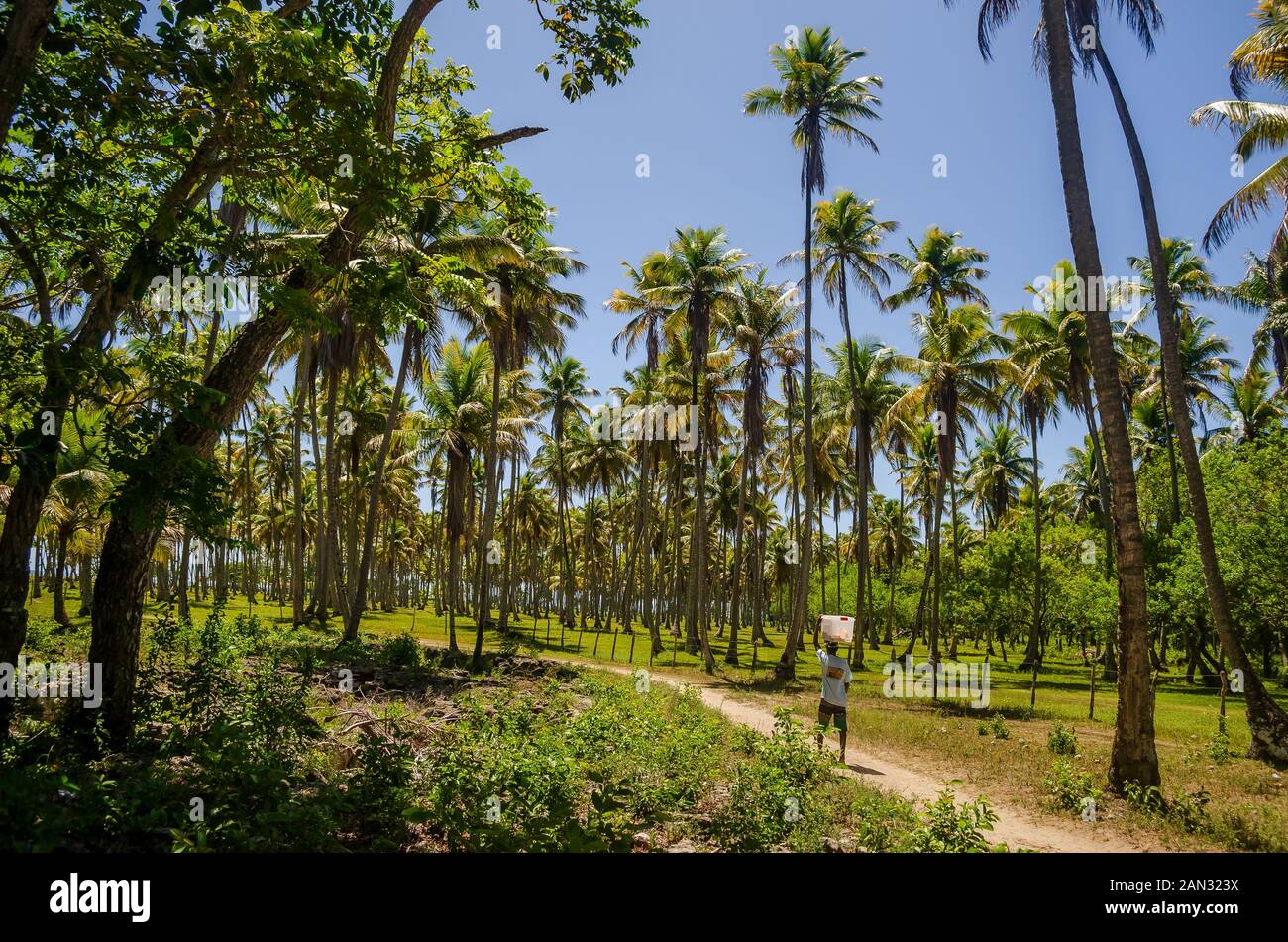 Landscapes on "Boipeba Island", beaches in Bahia, Brazil Stock Photo ...