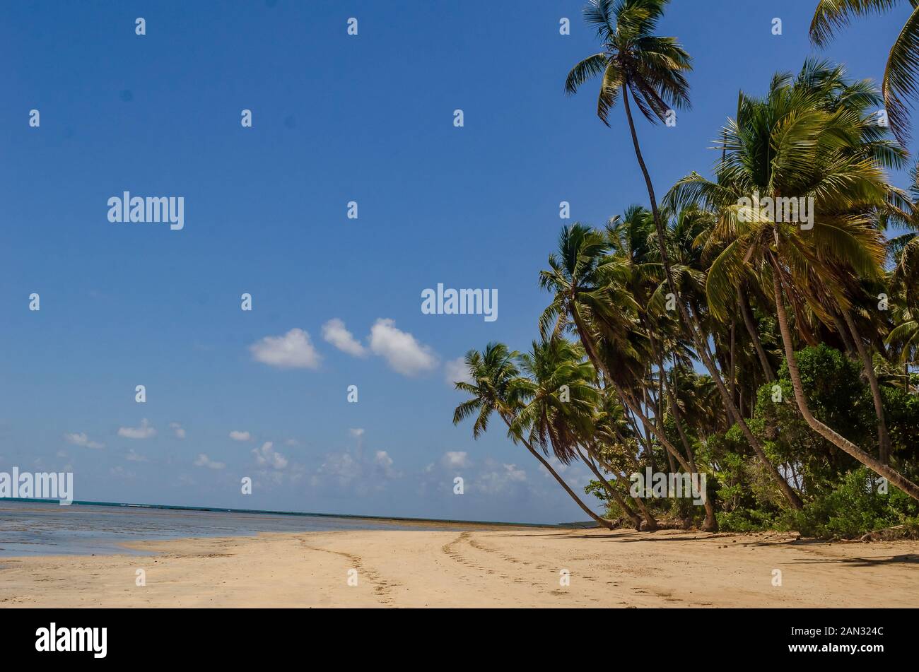 Landscapes on "Boipeba Island", beaches in Bahia, Brazil Stock Photo ...