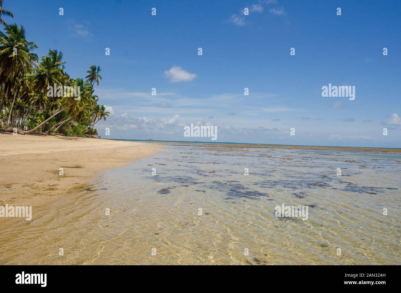 Landscapes on "Boipeba Island", beaches in Bahia, Brazil Stock Photo ...