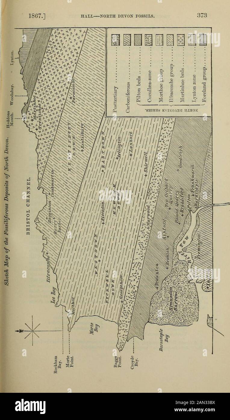 Crinoids fossils hi-res stock photography and images - Alamy