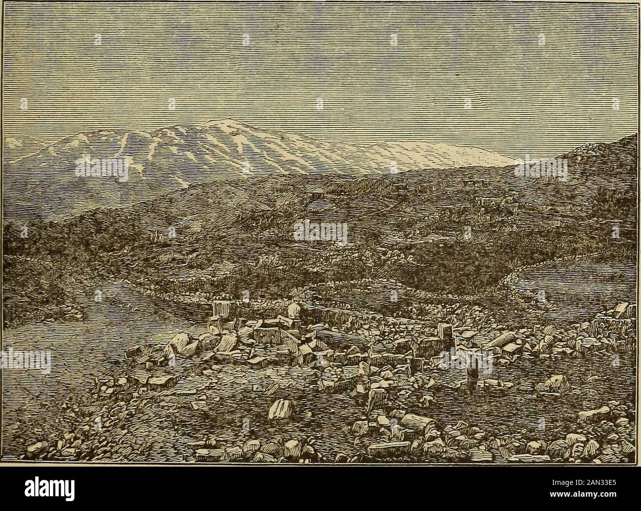 Lucid definition hi-res stock photography and images - Alamy