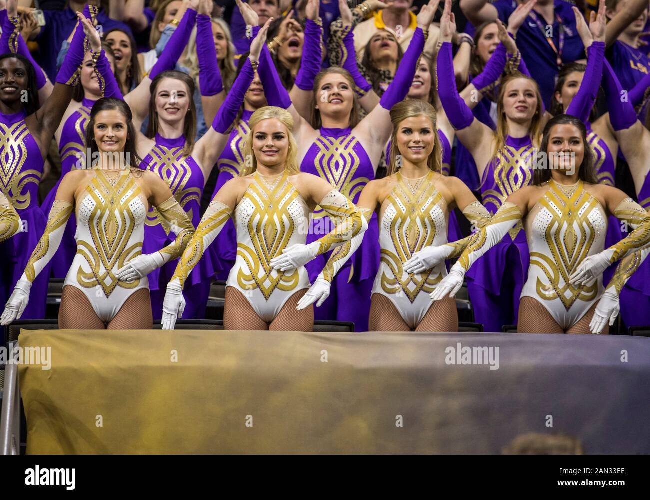 Geauxtigers hi-res stock photography and images - Alamy