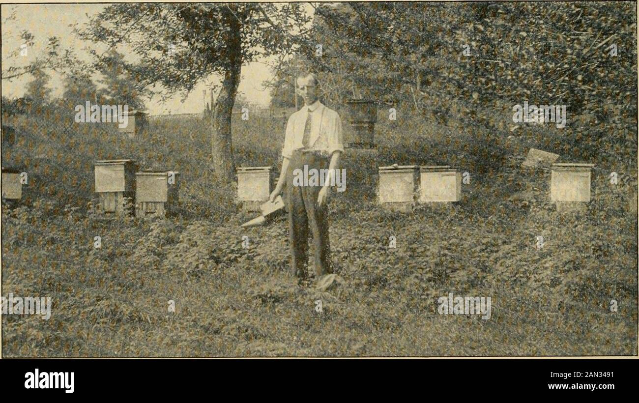 Quinby honey hi-res stock photography and images - Alamy