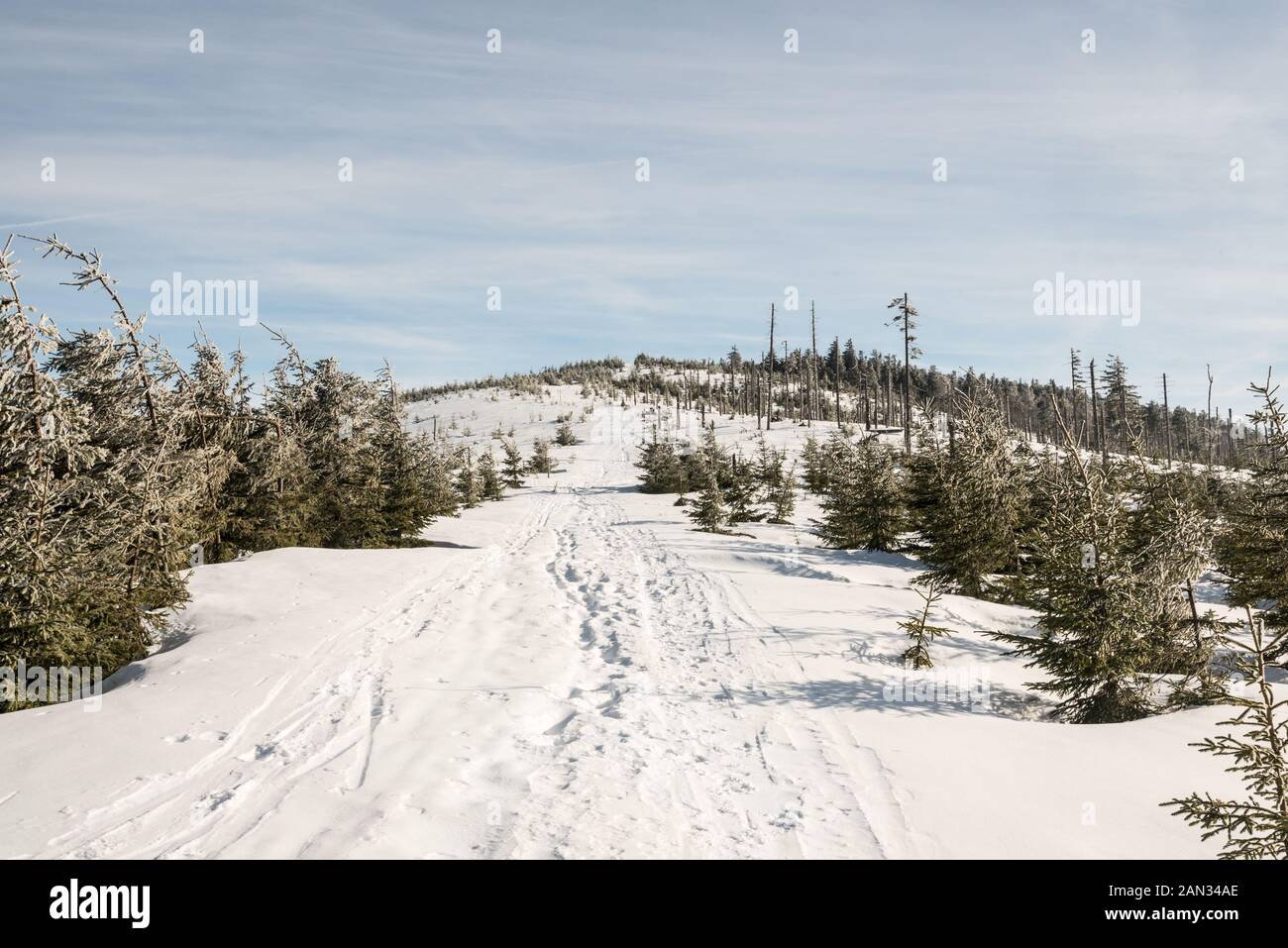 Magurka wislanska hi-res stock photography and images - Alamy
