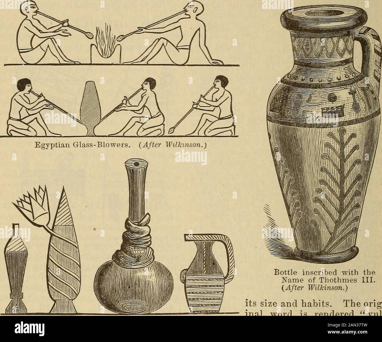 Gergesa hi-res stock photography and images - Alamy