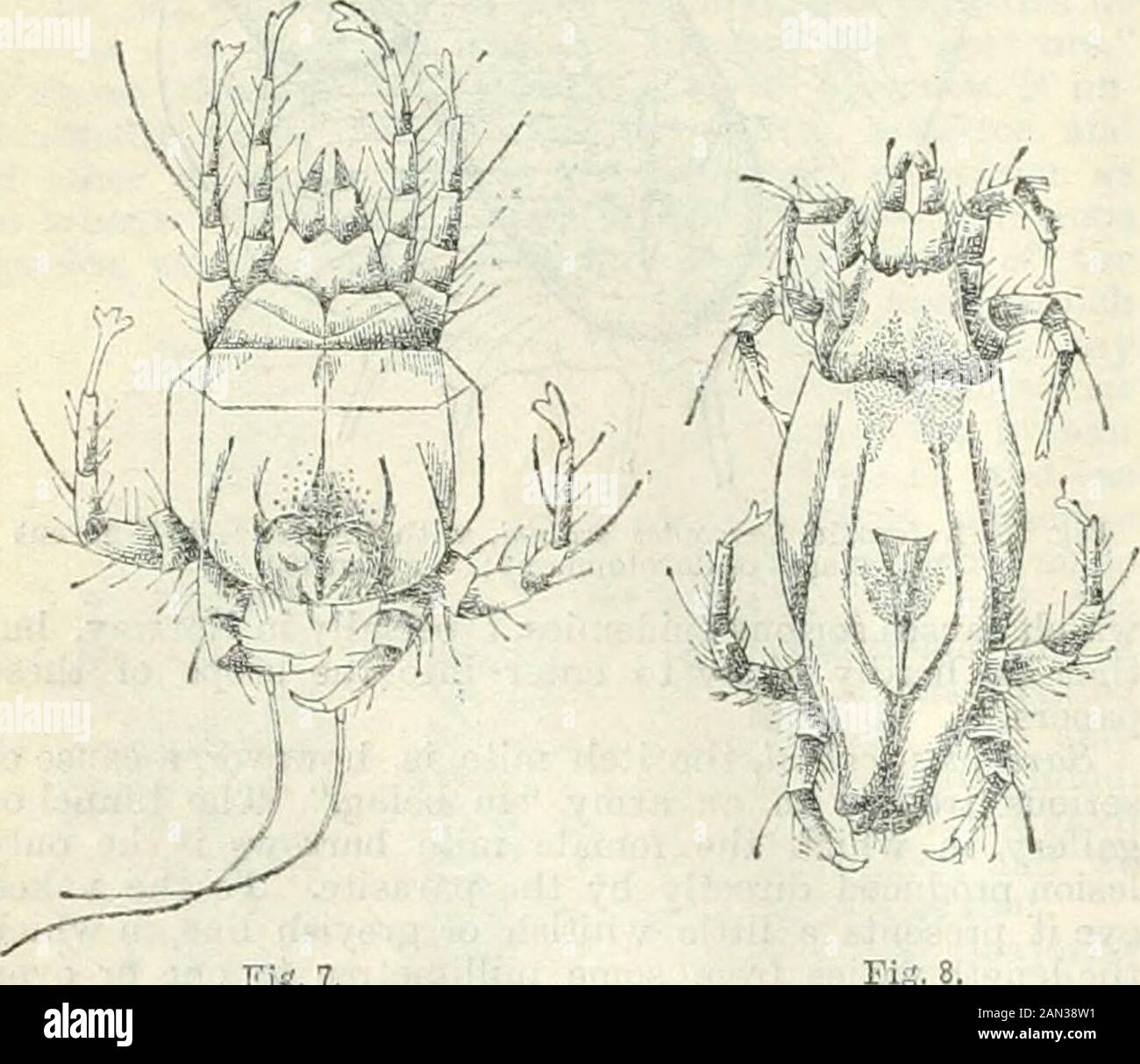 British medical journal . rmis. The degree andnumber of iuflammatory ...