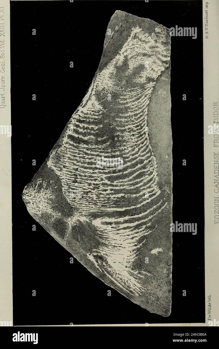 Shell filling process hi-res stock photography and images - Alamy
