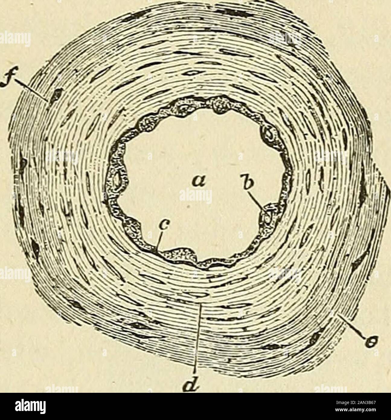 Automatism hi-res stock photography and images - Alamy