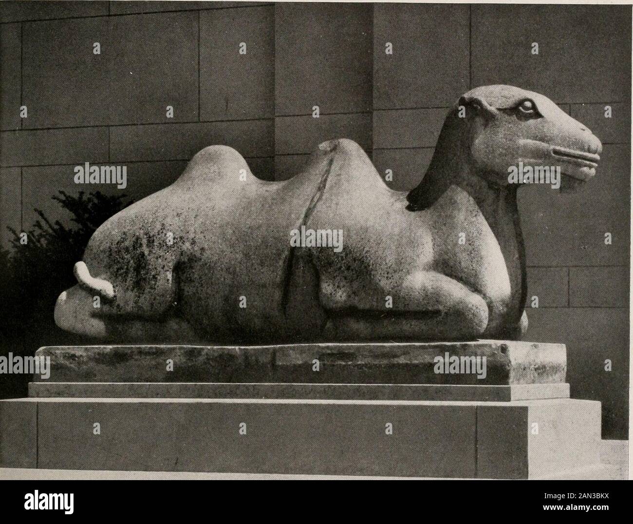 Architect and engineer . EAST VIEW. SEATTLE ART MUSEUM, SEATTLE ...