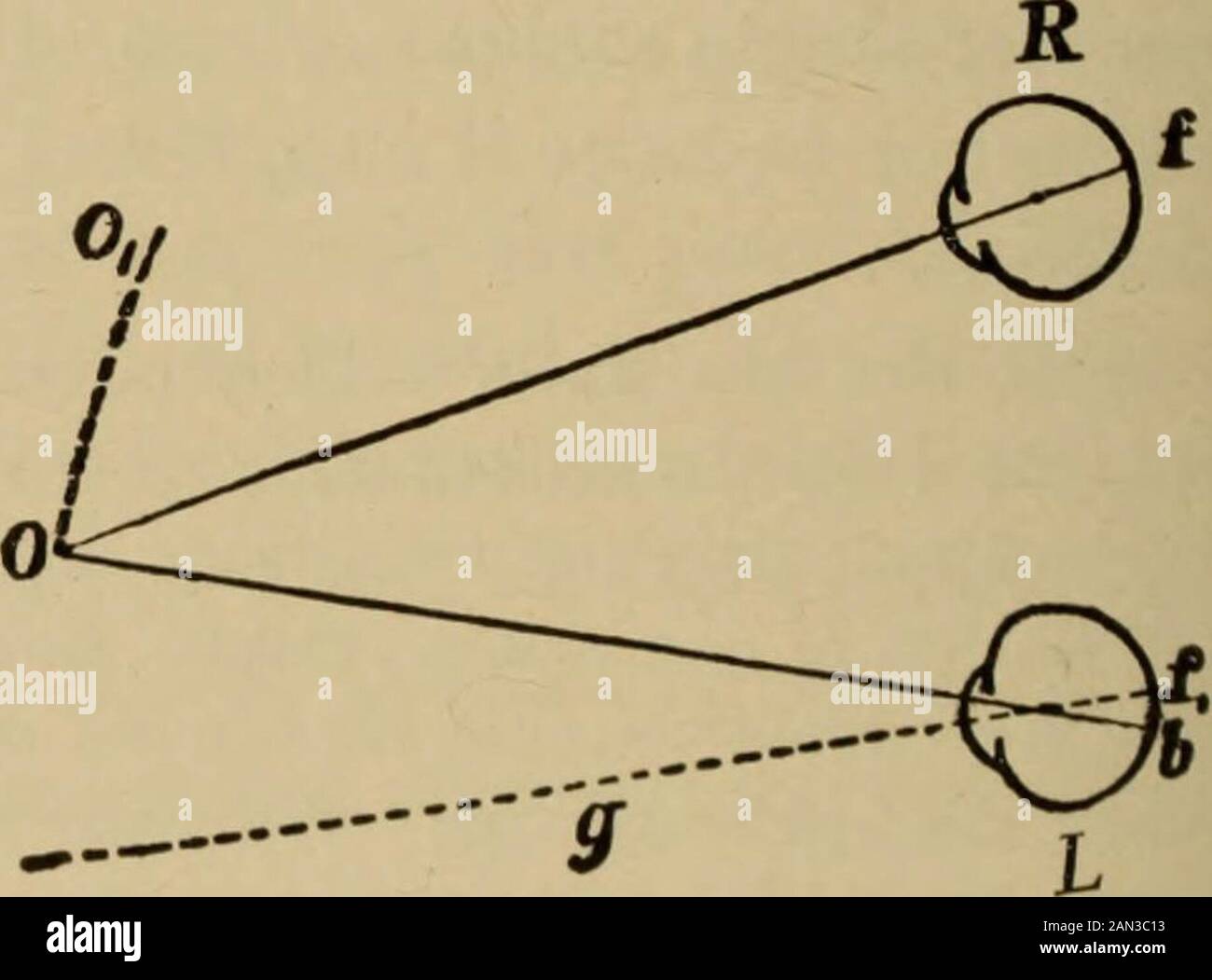 Text-book of ophthalmology . Homonymous Double Images. Fig. 314 ...