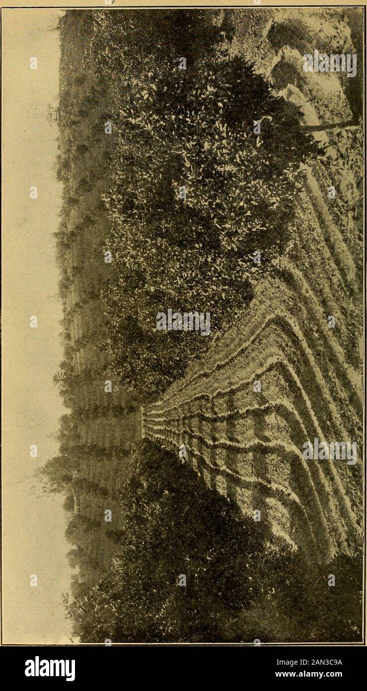 Iron pipe slope hi-res stock photography and images - Alamy