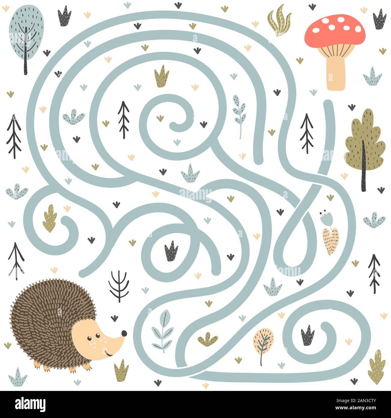 Hedgehog mushroom illustration hi-res stock photography and images - Alamy