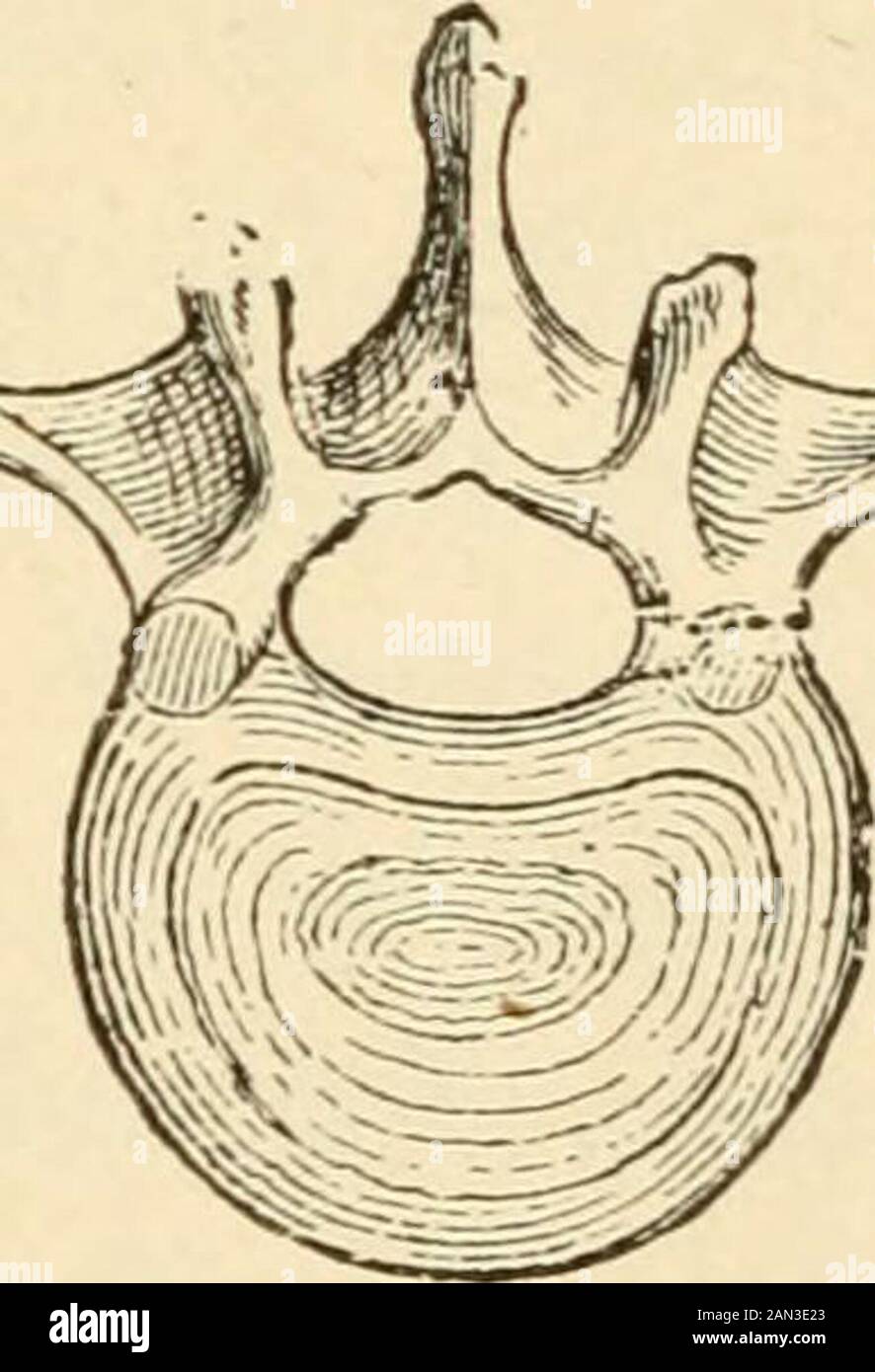 The evolution of man: a popular exposition of the principal points of ...