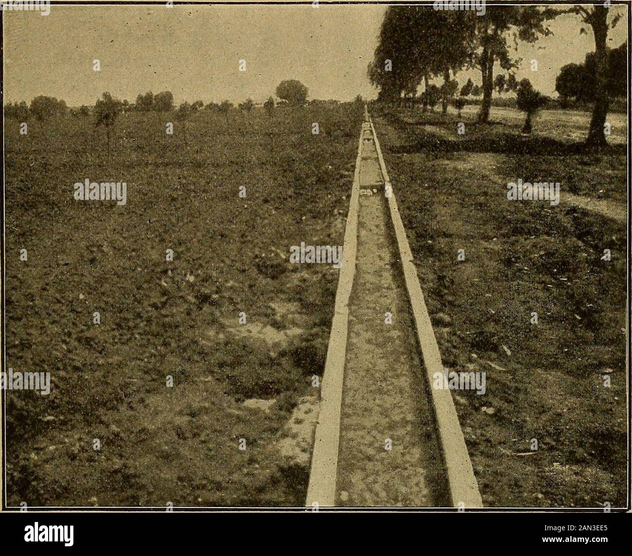 The California fruits and how to grow them; . o « 200 CEMENT IN ...