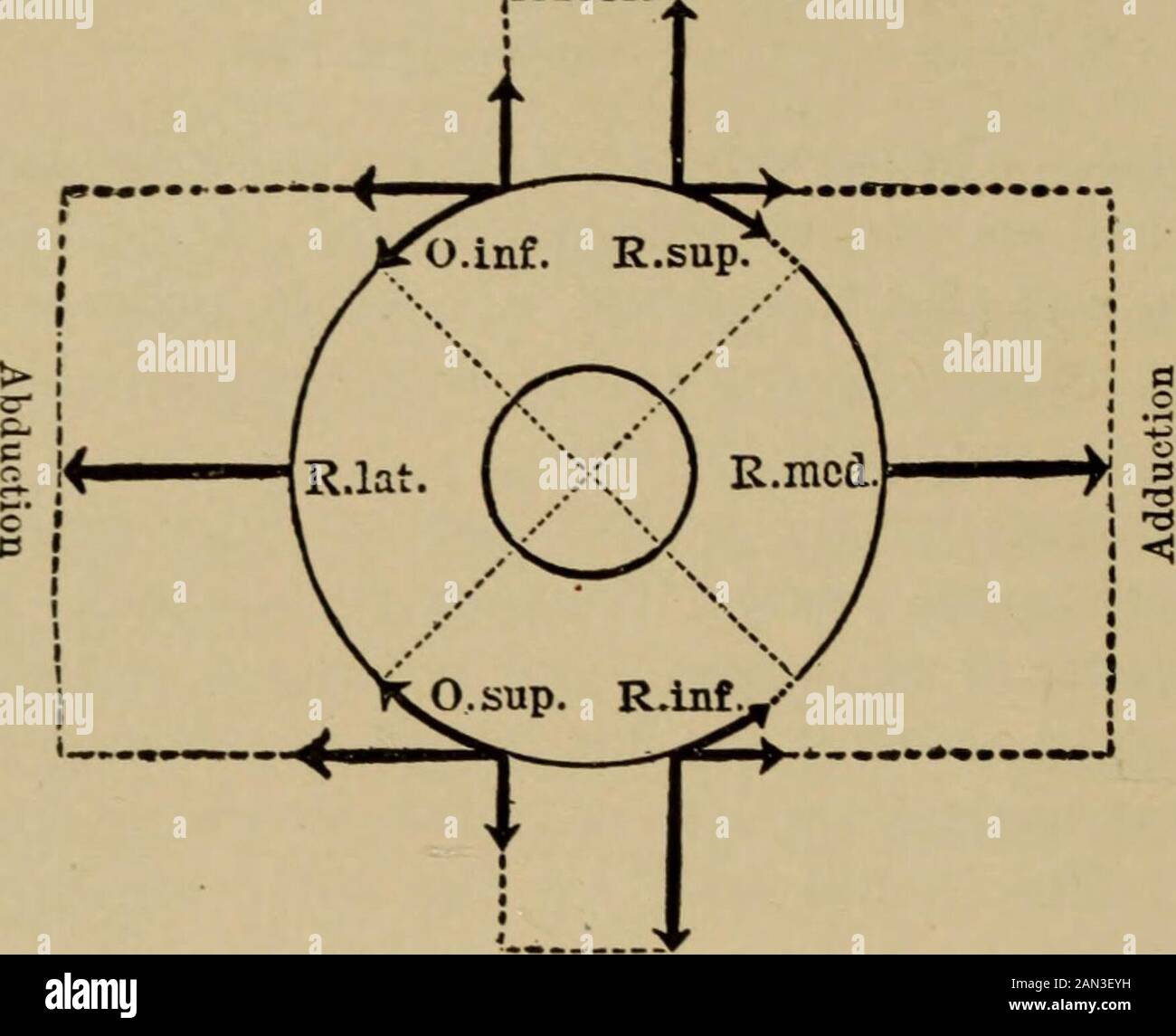 Parallelogram of forces hi-res stock photography and images - Alamy