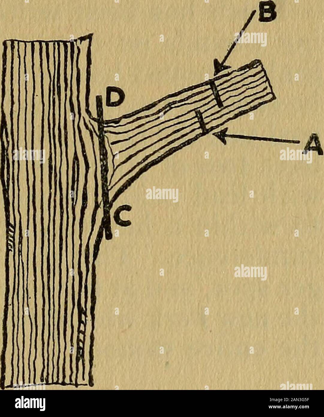 Method stub hi-res stock photography and images - Alamy