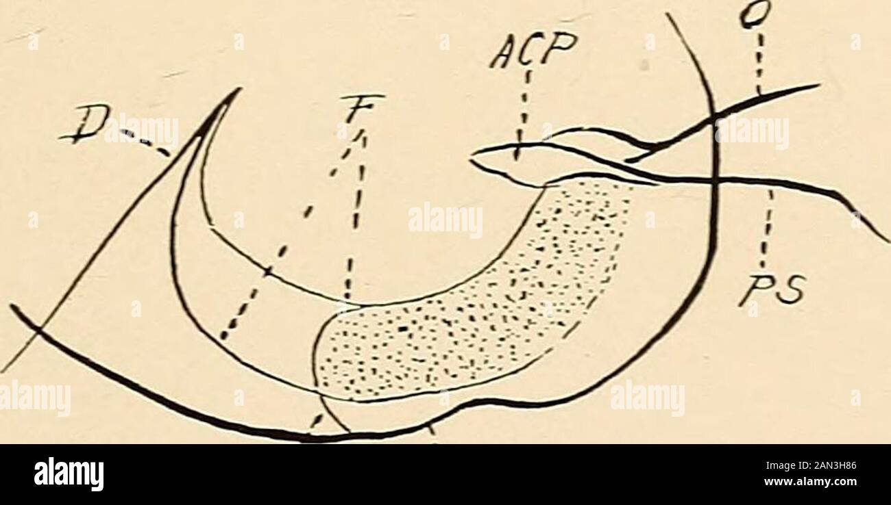Sella floor hi-res stock photography and images - Alamy