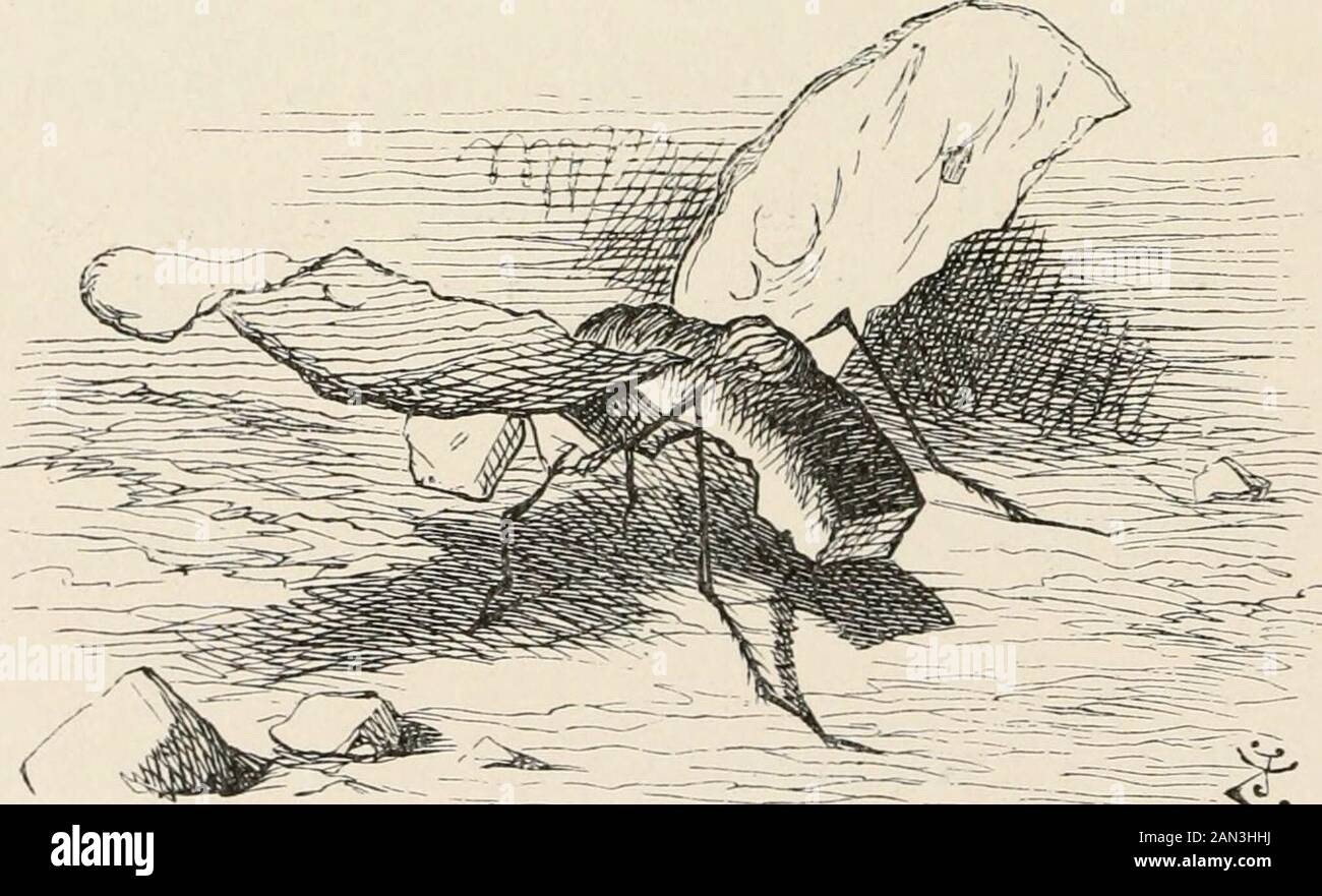 Snap dragon christmas hi-res stock photography and images - Alamy