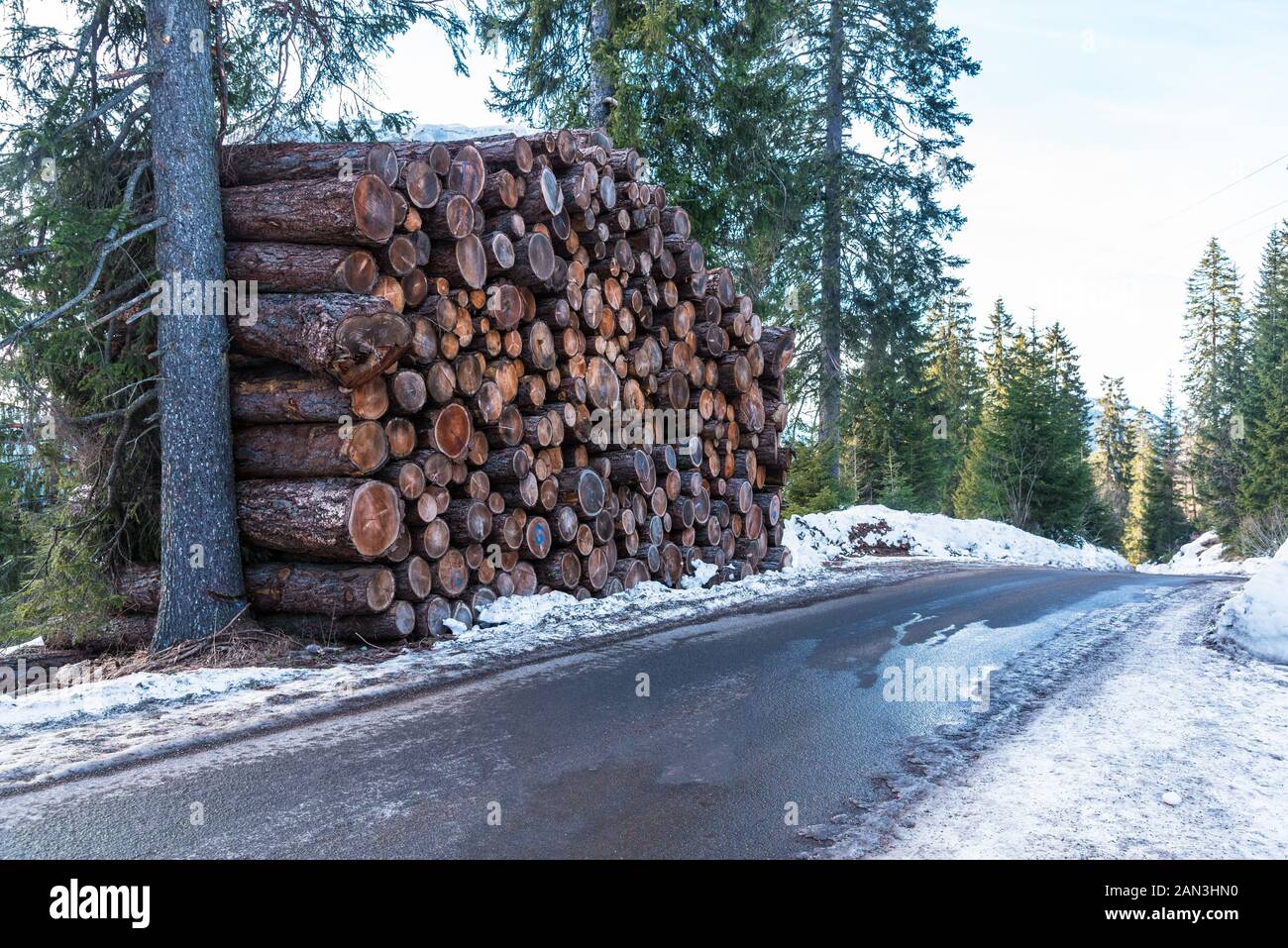 Pile logs along mountain hi-res stock photography and images - Alamy
