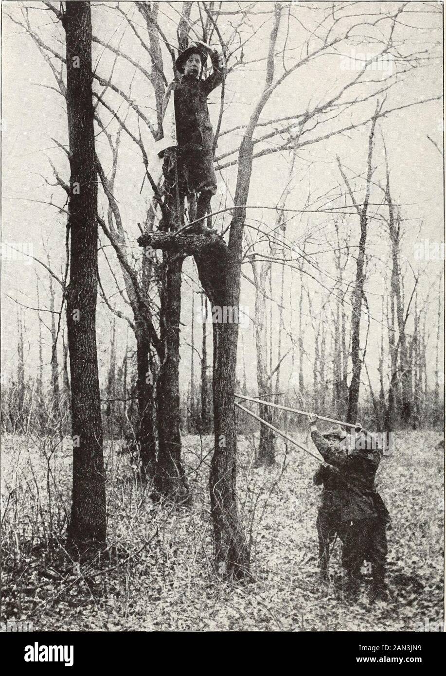 Scoutcraft hi-res stock photography and images - Alamy