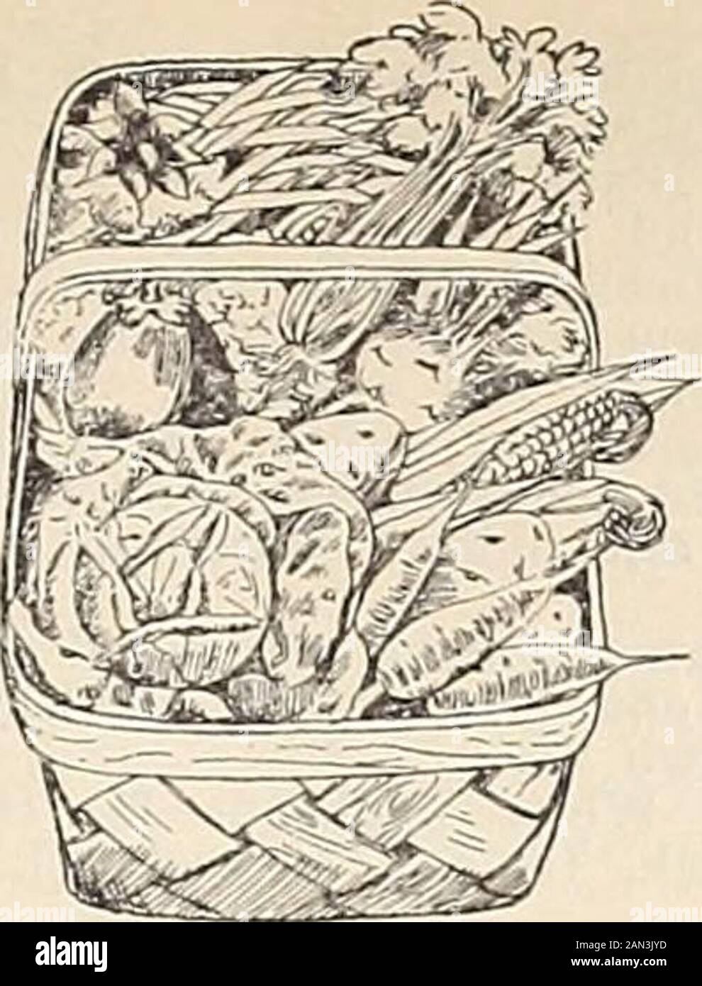 Poultry fancier . ite Orpingtons—1st,Lawrence Jackson Farm; 2d ...