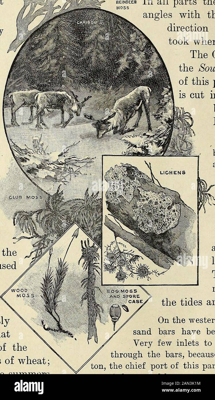 Advanced Geography . f Coastal Plain. The broad lowland which follows ...