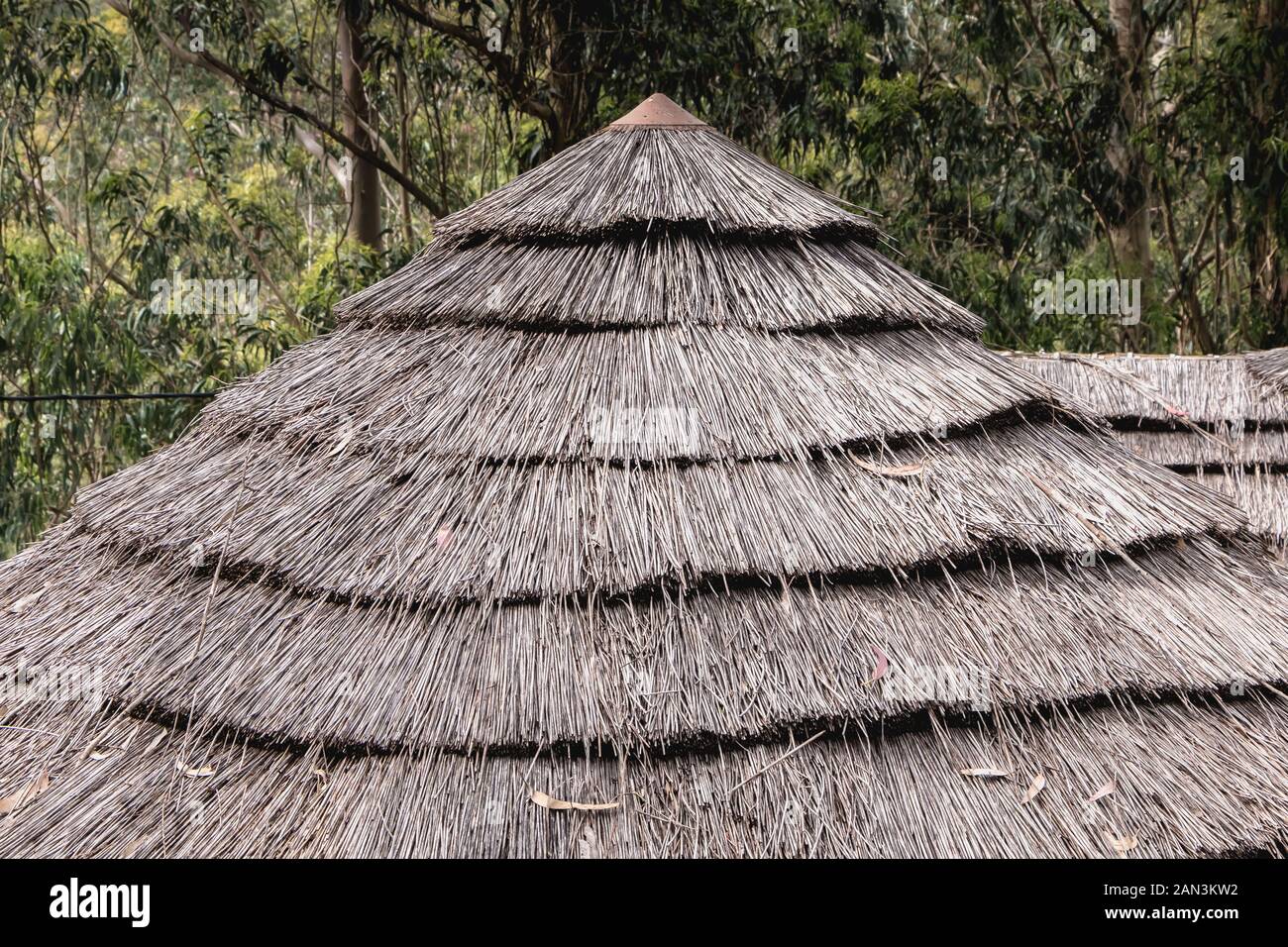 Cottage thatched roof tropical garden hi-res stock photography and ...