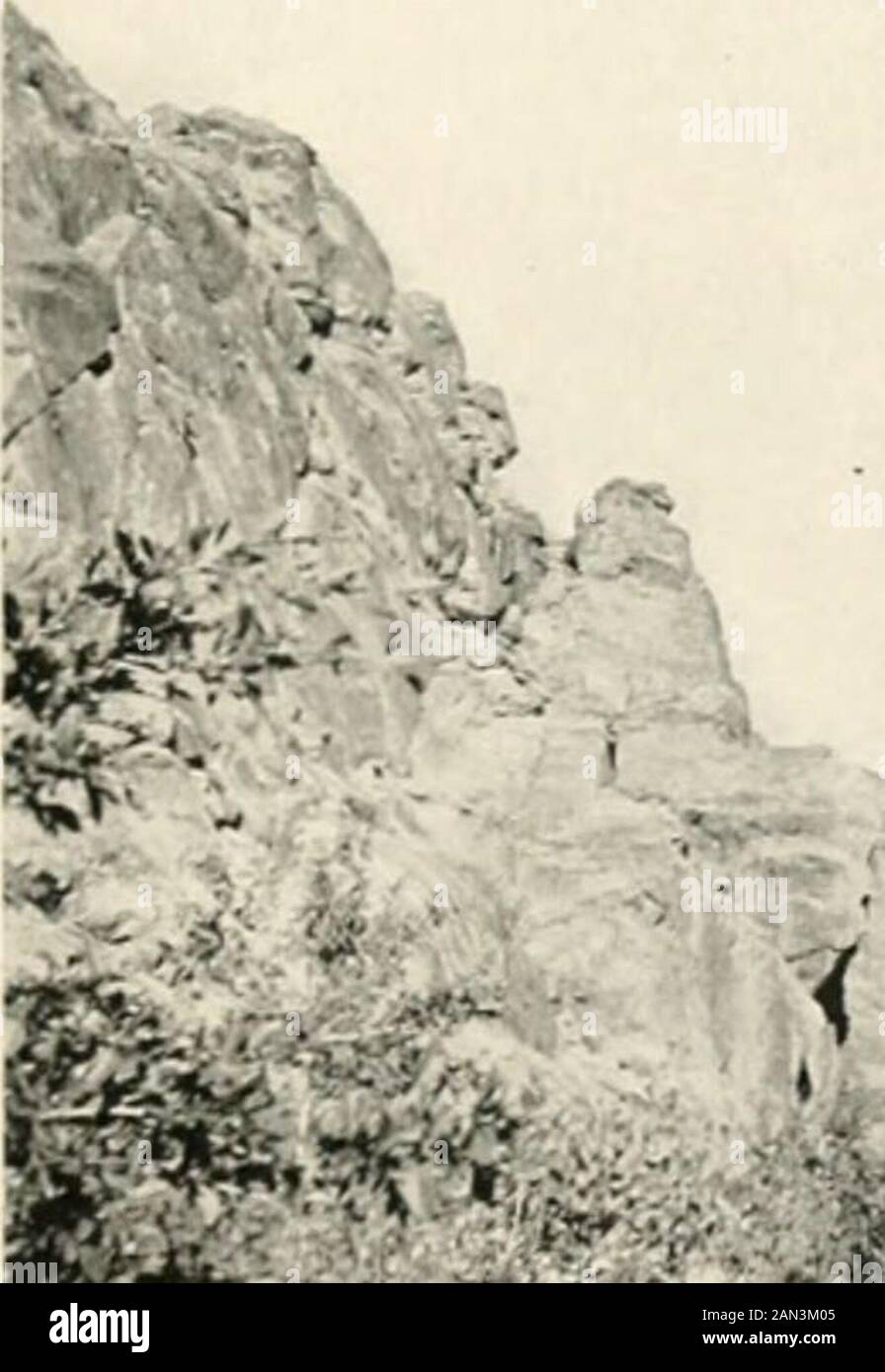 Trussing hi-res stock photography and images - Alamy