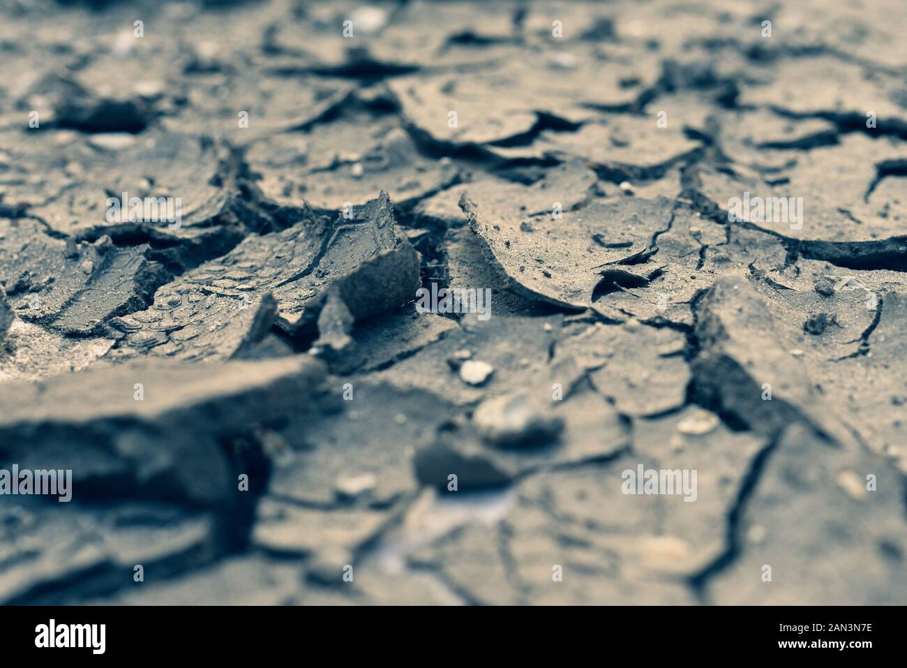 Parched ground close up, copy space. Cracks on the surface of the earth ...