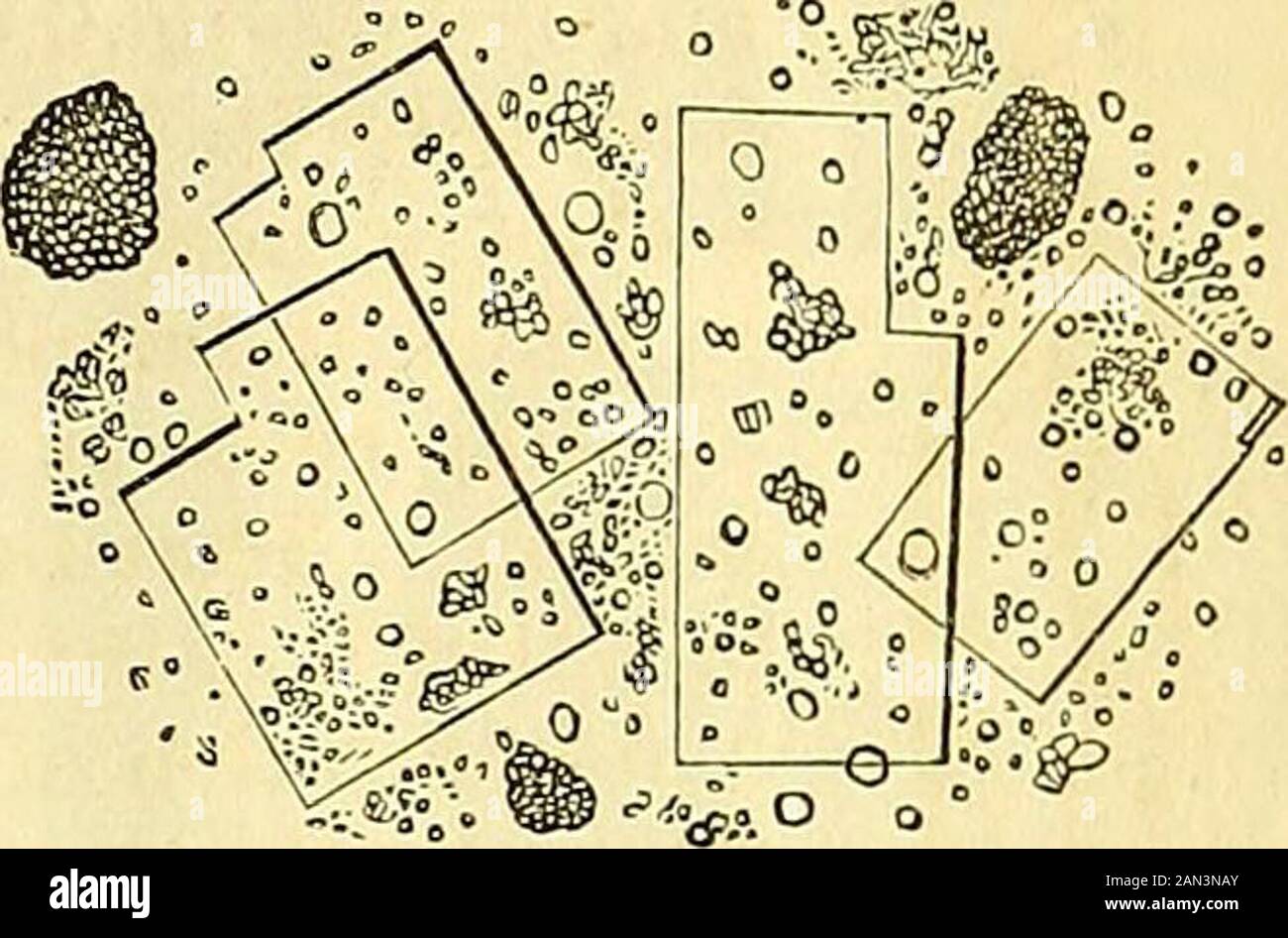 Curdy hi-res stock photography and images - Alamy