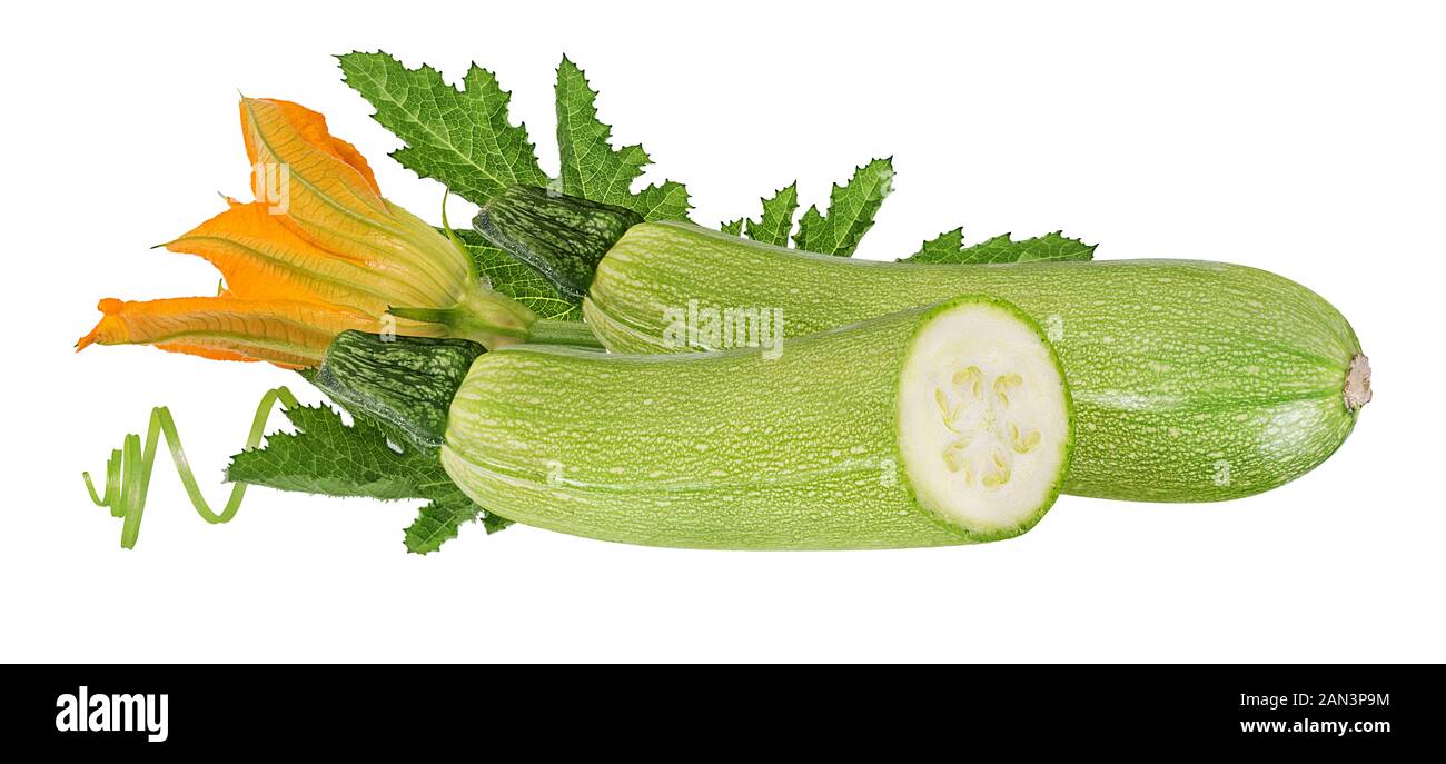 Fresh vegetable marrow isolated on white background Stock Photo - Alamy