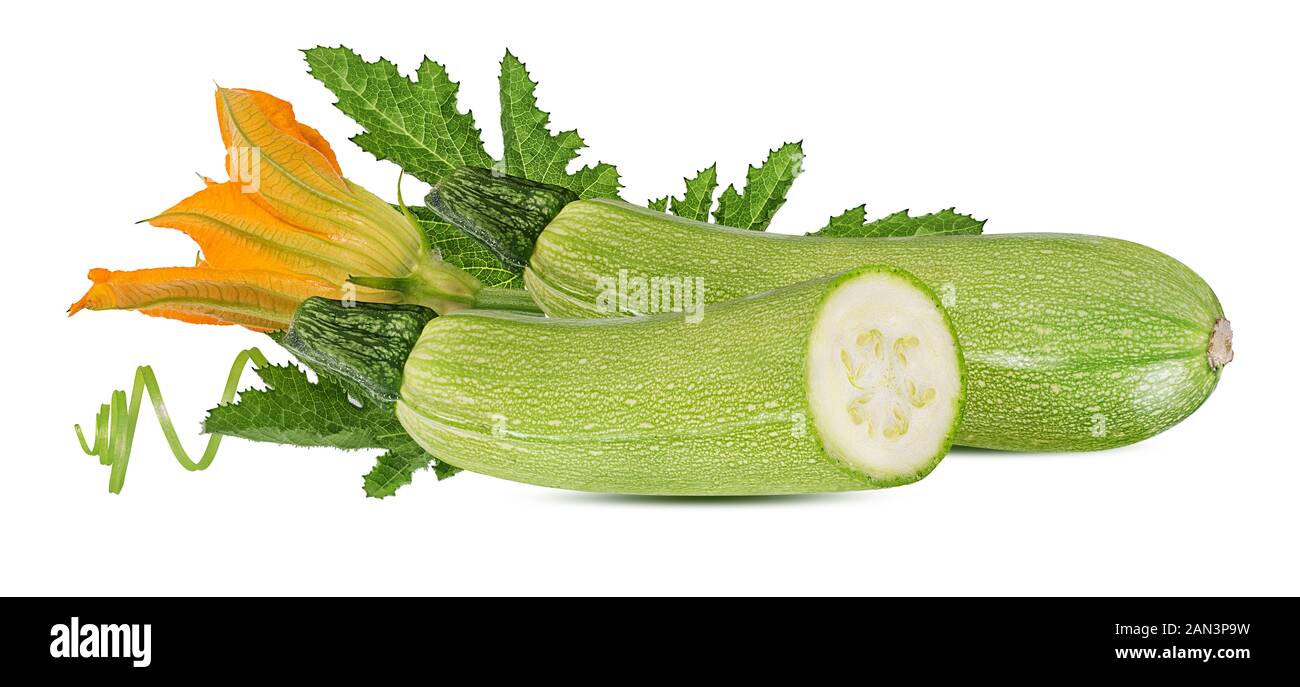 Fresh vegetable marrow isolated on white background Stock Photo - Alamy