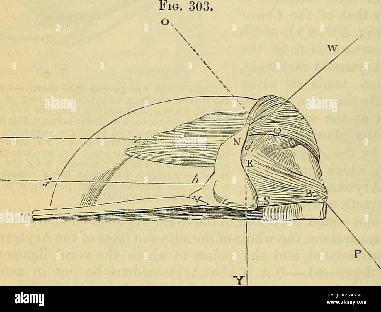 Carpenter's principles of human physiology . on or expiration; and its ...