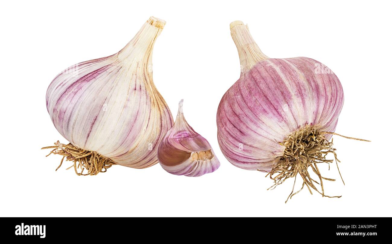 Natural garlic Cut Out Stock Images & Pictures - Alamy