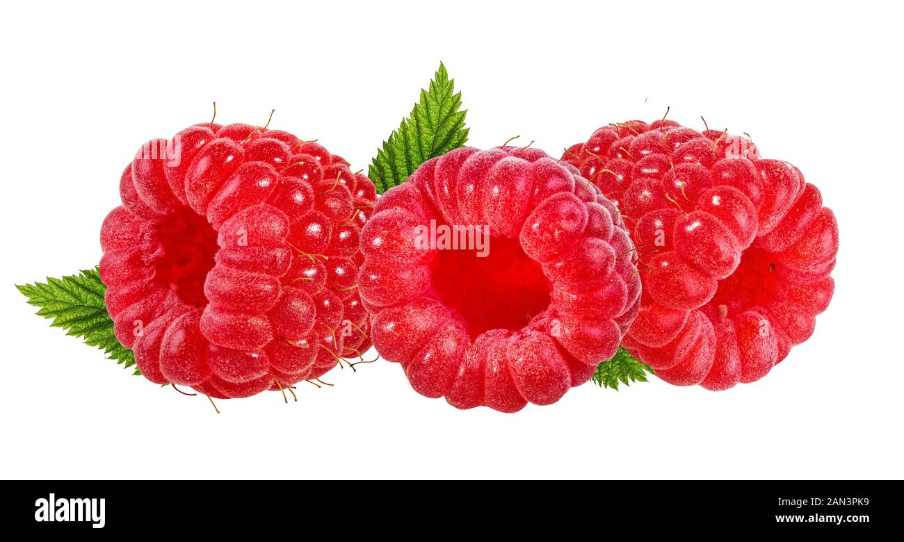 Raspberry isolated on white background Stock Photo - Alamy