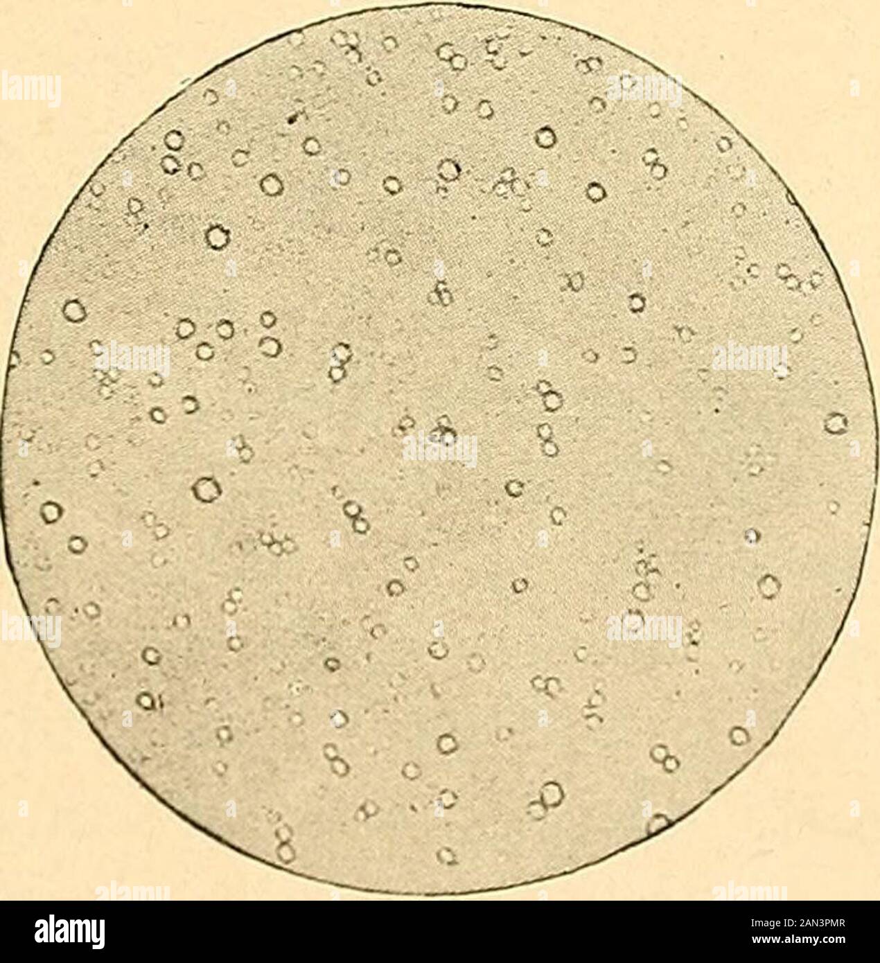 Modern diagnosis and treatment of diseases of childern; a treatise on ...